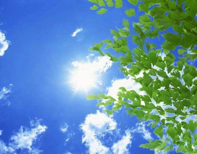 ILELE维生素D3讲堂-维生素D与阳光之间的关系 - 知乎