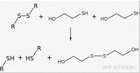 二巯基乙醇 cas60-24-2 thioglycol还原剂 - 知乎