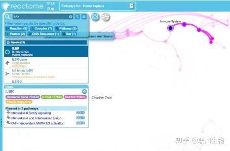 联川生物转录组特色数据库——Reactome数据库 - 知乎