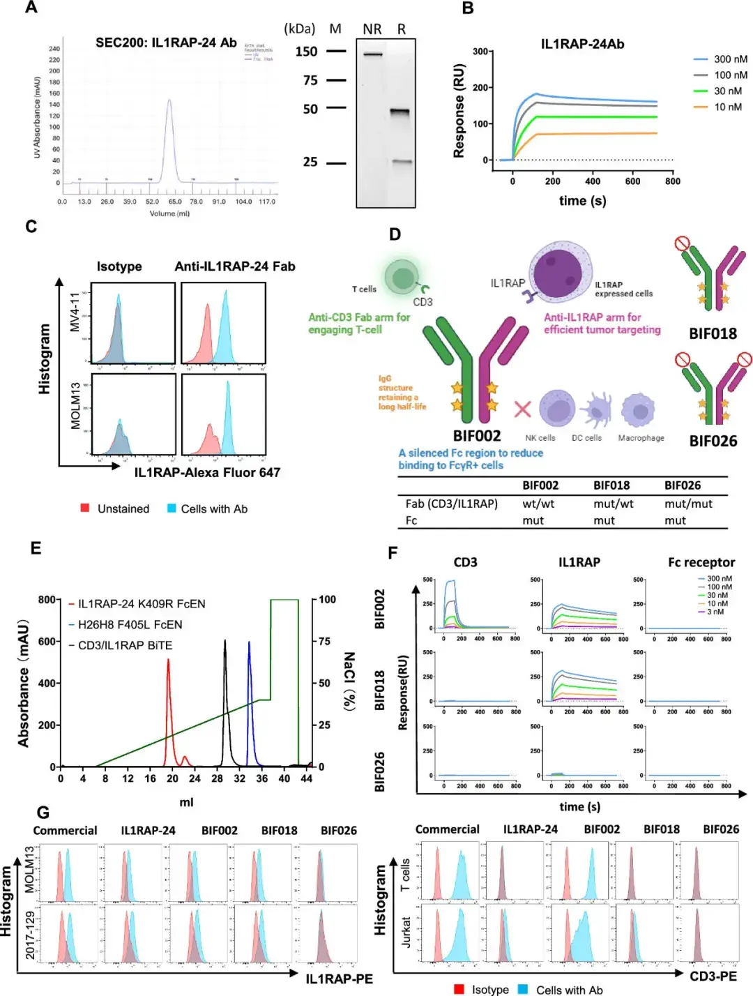 Beacon|浙大一院与美国希望之城医学中心报道IL1RAP-TCE抗体可有效清除AML白血病干细胞-上海玮驰仪器有限公司