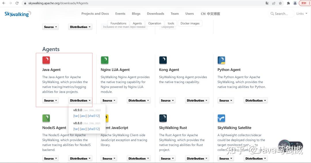 Java项目如何接入skywalking？ - 知乎
