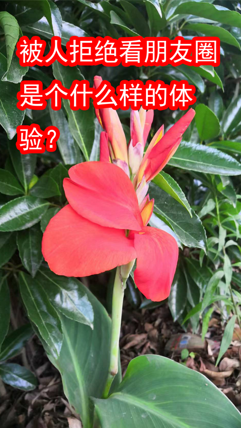 忽然发现朋友圈一位算是熟悉的人屏蔽你朋友圈是个什么样的体验？ 知乎