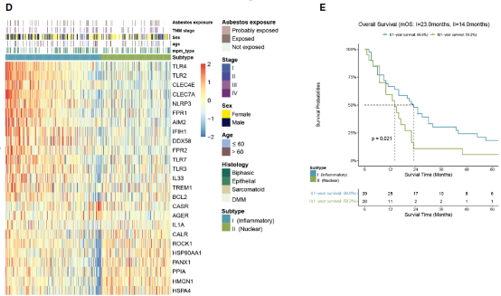 免疫原性死亡另类生信切入点--损伤相关分子模式（DAMPs）！疾病分型+实验验证的干湿结合思路！拿上基因集去复现吧~ - 知乎