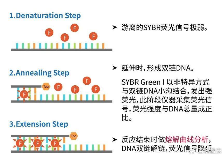 科普讲堂 | 带你学习qPCR原理及应用！ - 知乎