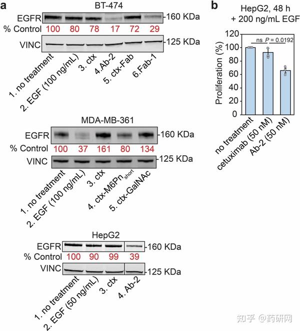 新旧诺奖之碰撞：下一代靶向蛋白降解技术 - 知乎