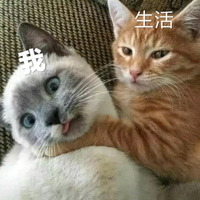 [论文精读] Gradient Surgery for Multi-Task Learning - 知乎