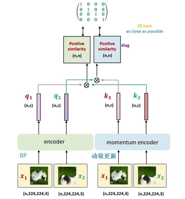 最全整理！何恺明团队顶作MoCo系列解读！ - 知乎