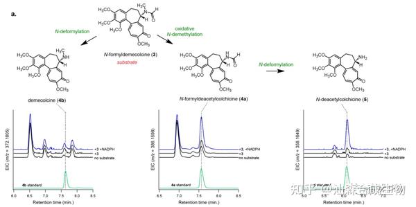 斯坦福大学Elizabeth Sattely组JACS | 秋水仙碱生物全合成的最后一环 - 知乎