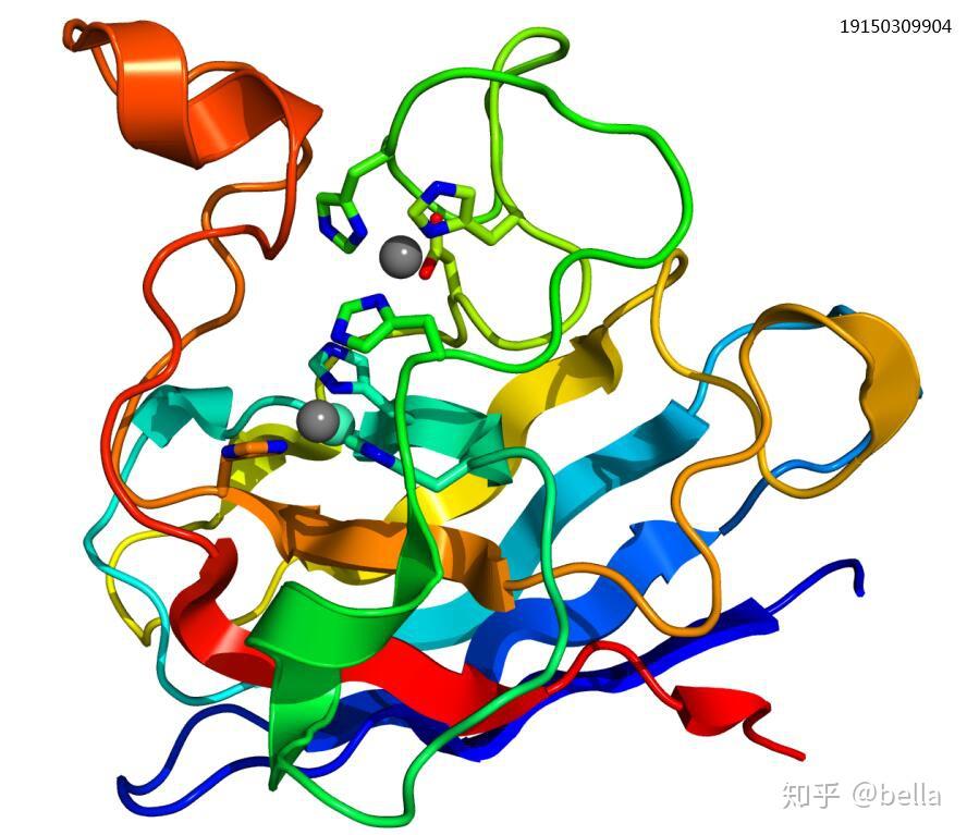 铜锌超氧化物歧化酶（Cu,Zn-SOD） - 知乎