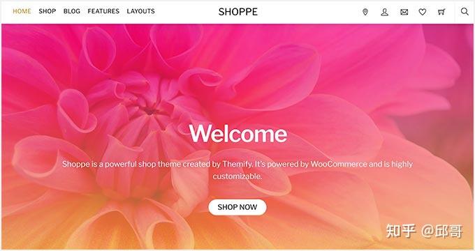 49 个最佳 WooCommerce WordPress 主题 - 知乎