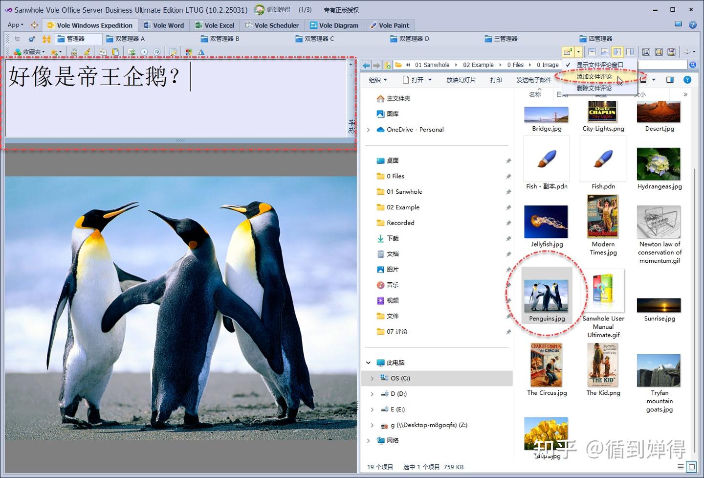 Vole Office 3月14日发布更新：10.2.25031版 - 知乎