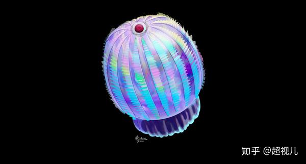 寒武纪大爆发爆出了什么? - 知乎