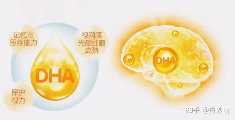 2025年DHA藻油推荐：DHA什么牌子好，dha要怎么选，dha婴儿|成人藻油是智商税吗【精选10款DHA品牌】-持续更新 - 知乎