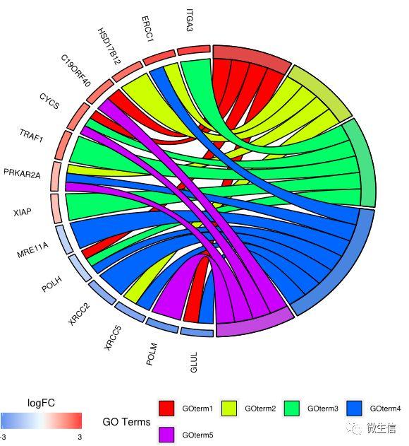 在线绘制GO、Pathway富集结果弦图 - 知乎