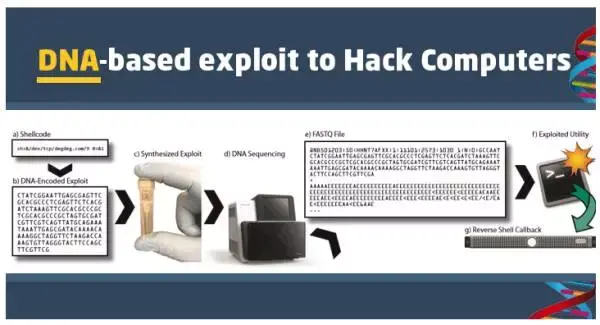 DNA存储：一克基因硬盘可存储215Pb信息 - 知乎