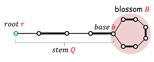 任意图最大匹配 — blossom algorithm - 知乎