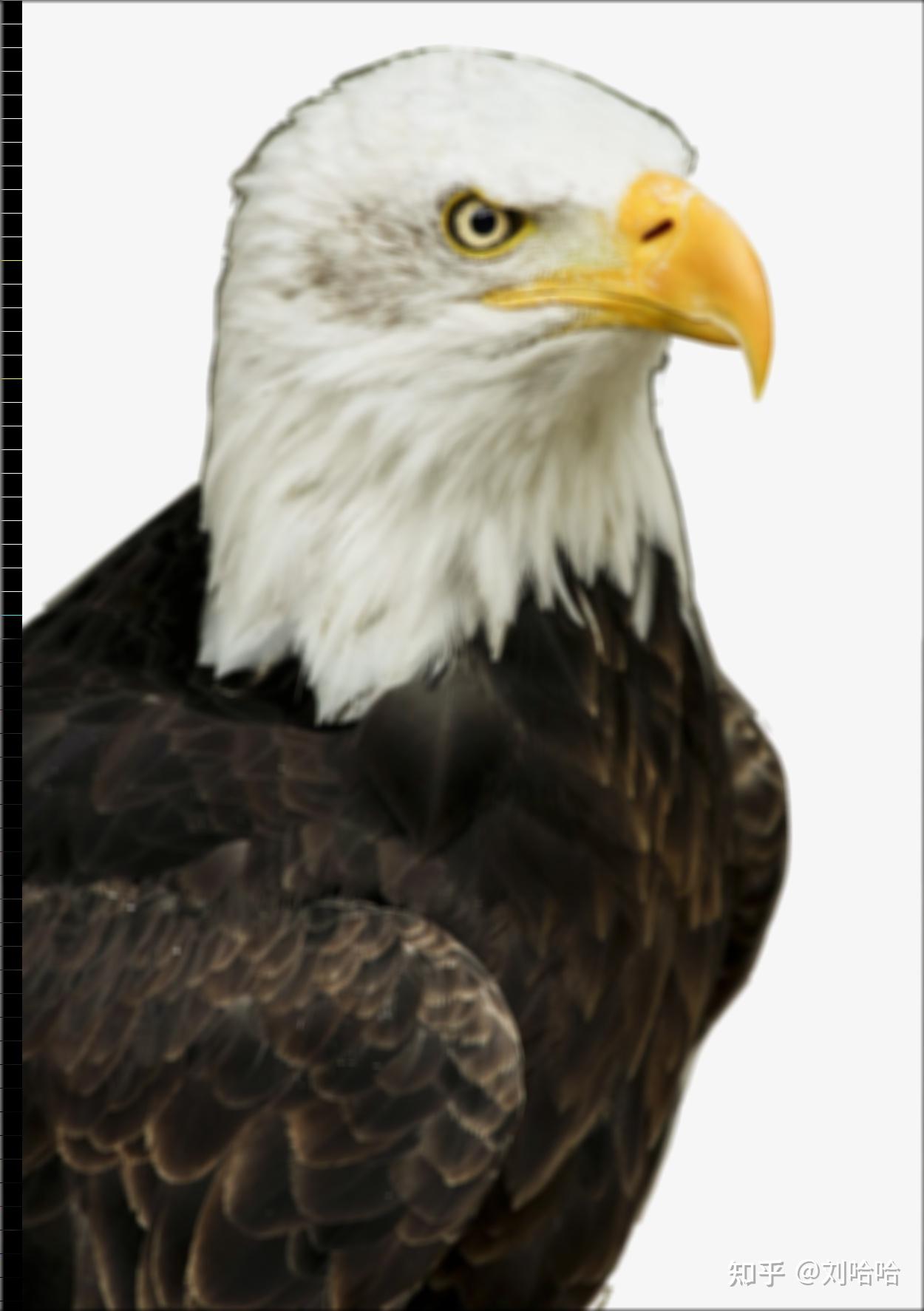 CUDA + Rust 混合并行编程 - 知乎