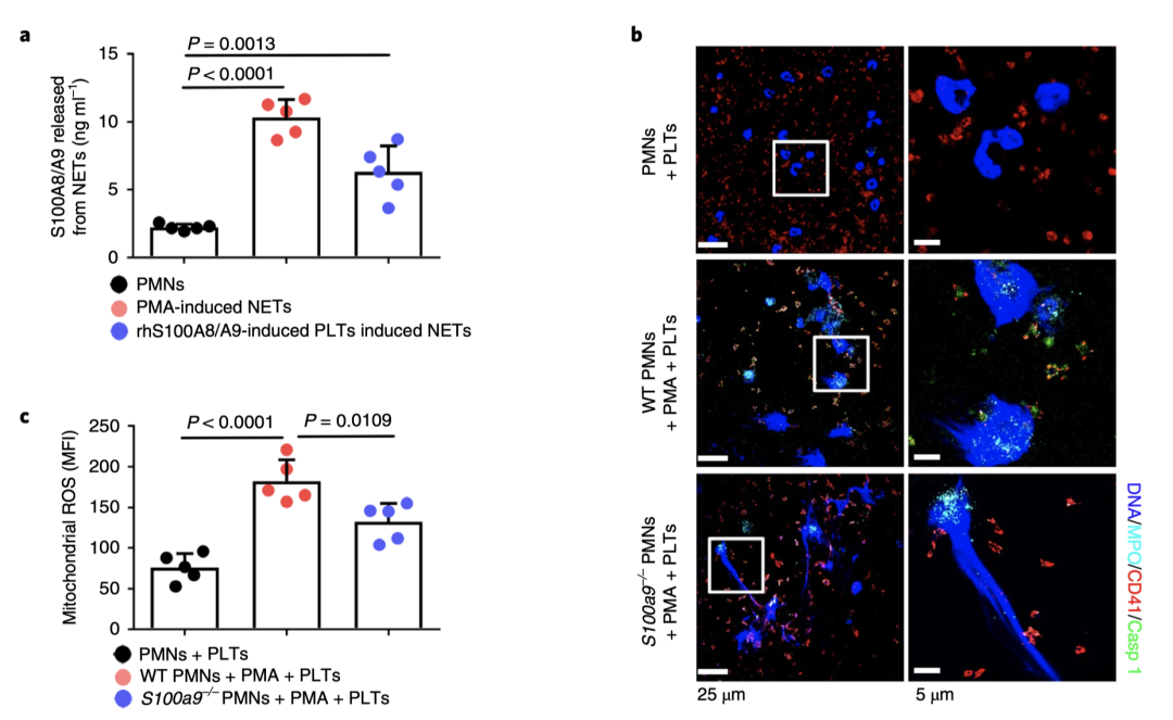 Nature最新大子刊丨脓毒症-血小板-GSDMD-NETs - 知乎