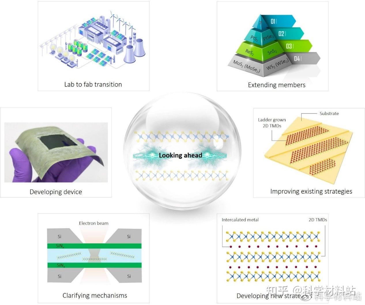 Angew. Chem. Int. Ed.综述：2D TMDs的光催化应用 - 知乎