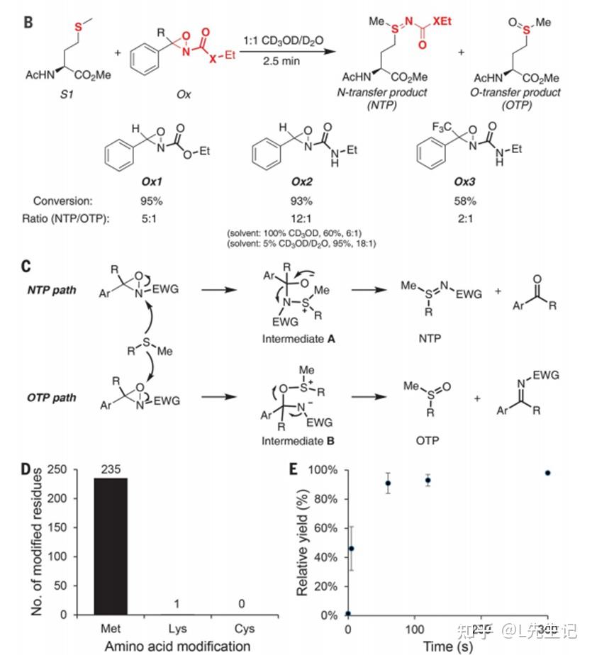 [science]甲硫氨酸氧化修饰 - 知乎