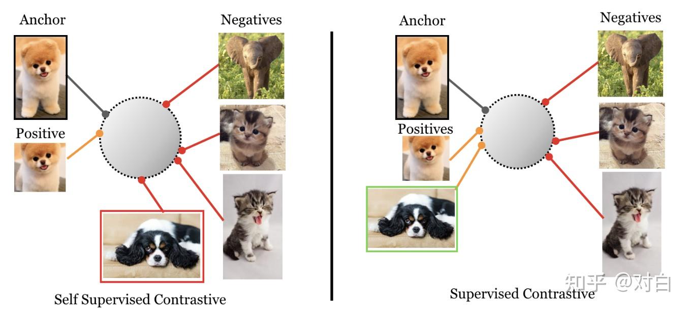 万物皆Contrastive Learning，从ICLR和NIPS上解读对比学习最新研究进展 - 知乎