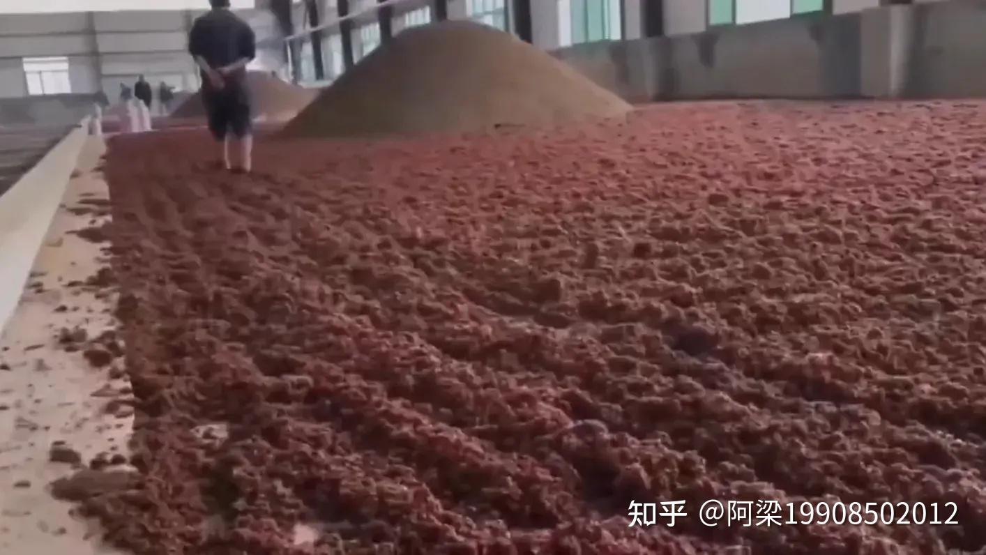 省酒酱香酒 酱香酒和浓香酒的区别和差异有哪些? 知乎
