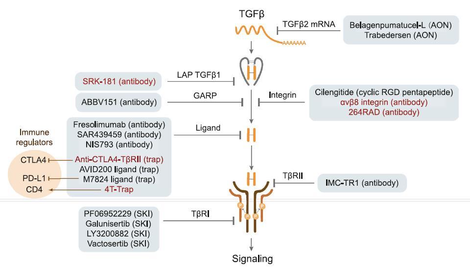 TGFβ通路报告基因检测 - 知乎