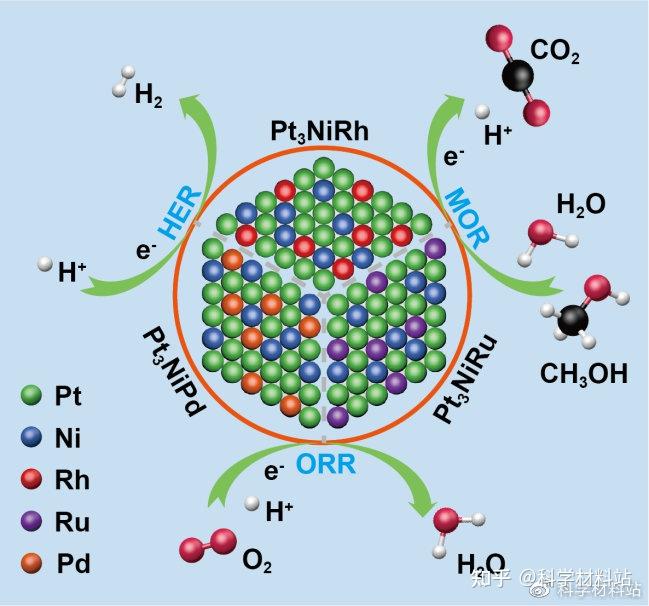 由第三元素（Rh，Ru，Pd）调控的新型PtNi纳米花：有效的多功能（ORR，MOR，HER）电催化剂 - 知乎