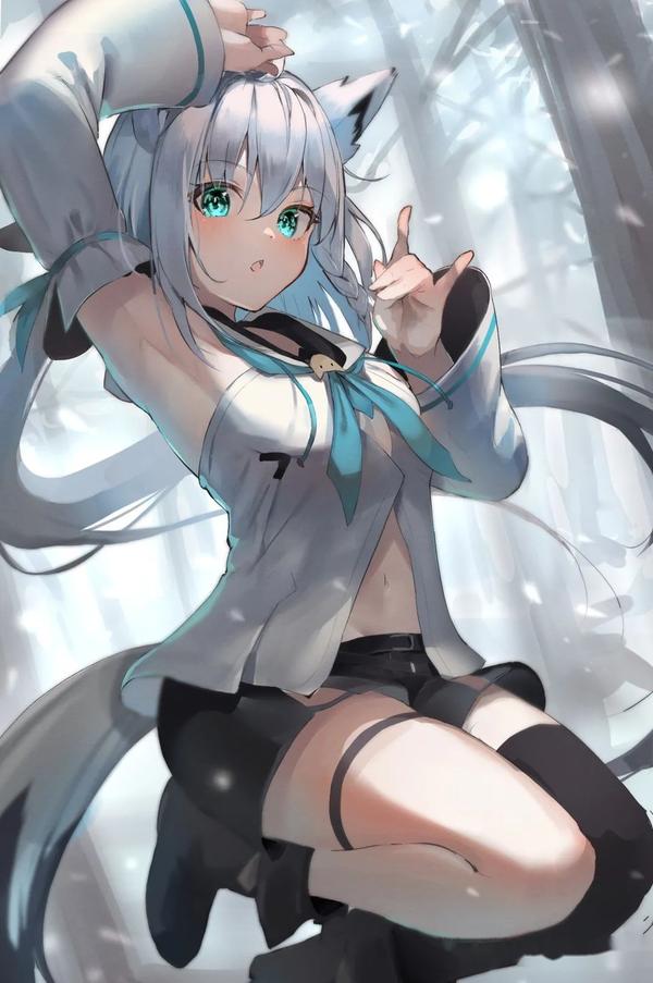 【软件】小工具-P站作品检索 - 知乎