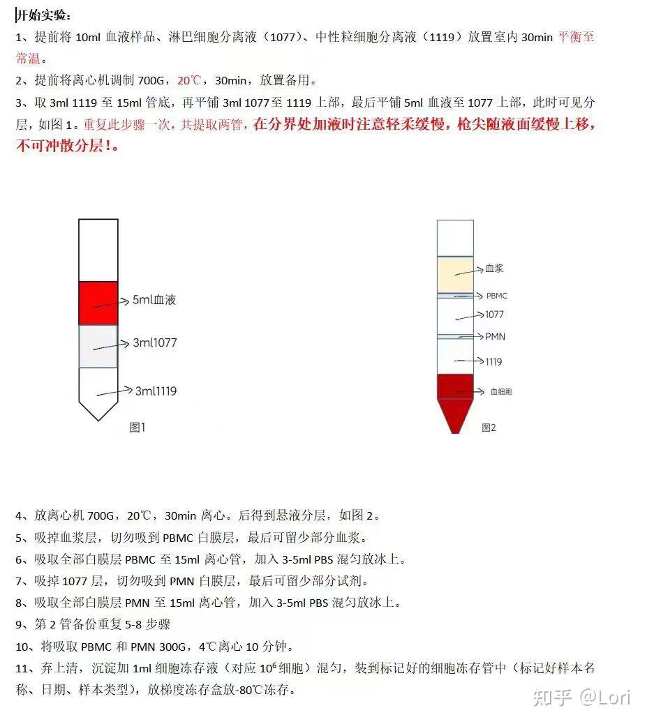 分离外周血PBMC与PMN - 知乎