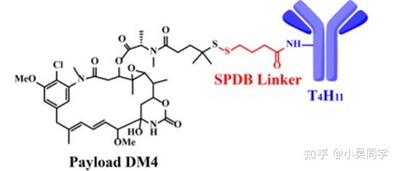 辉瑞领投DDR1抗体 - 知乎