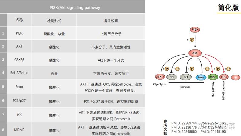 1条就是1篇SCI！带你研究12条信号通路，NF-κB、MAPK、AKT、PI3K…… - 知乎