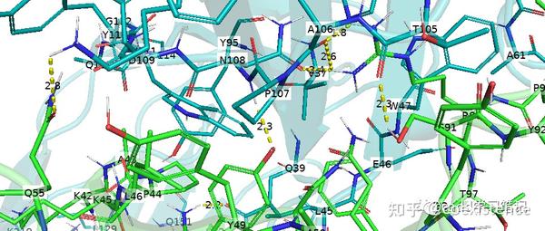 Pymol自动显示蛋白-蛋白相互作用 - 知乎