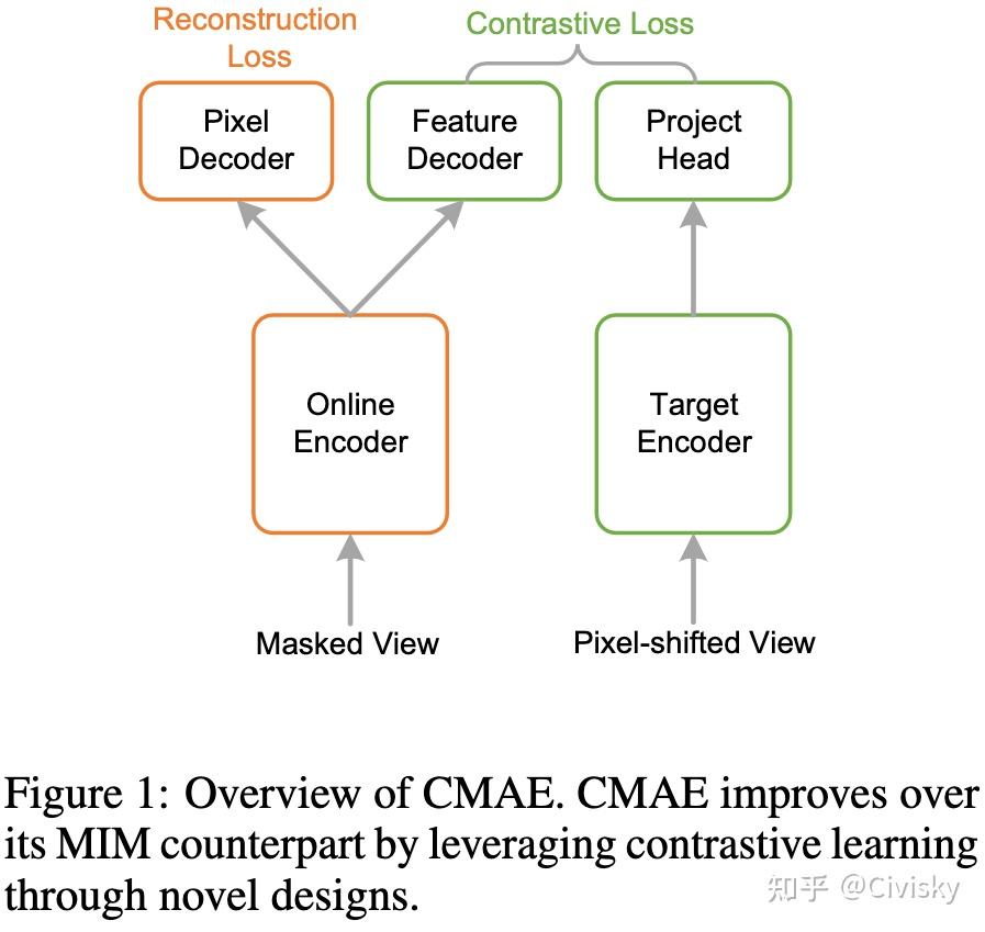 Cmae：对比掩码自编码器是更强大的视觉学习者速读版 知乎 