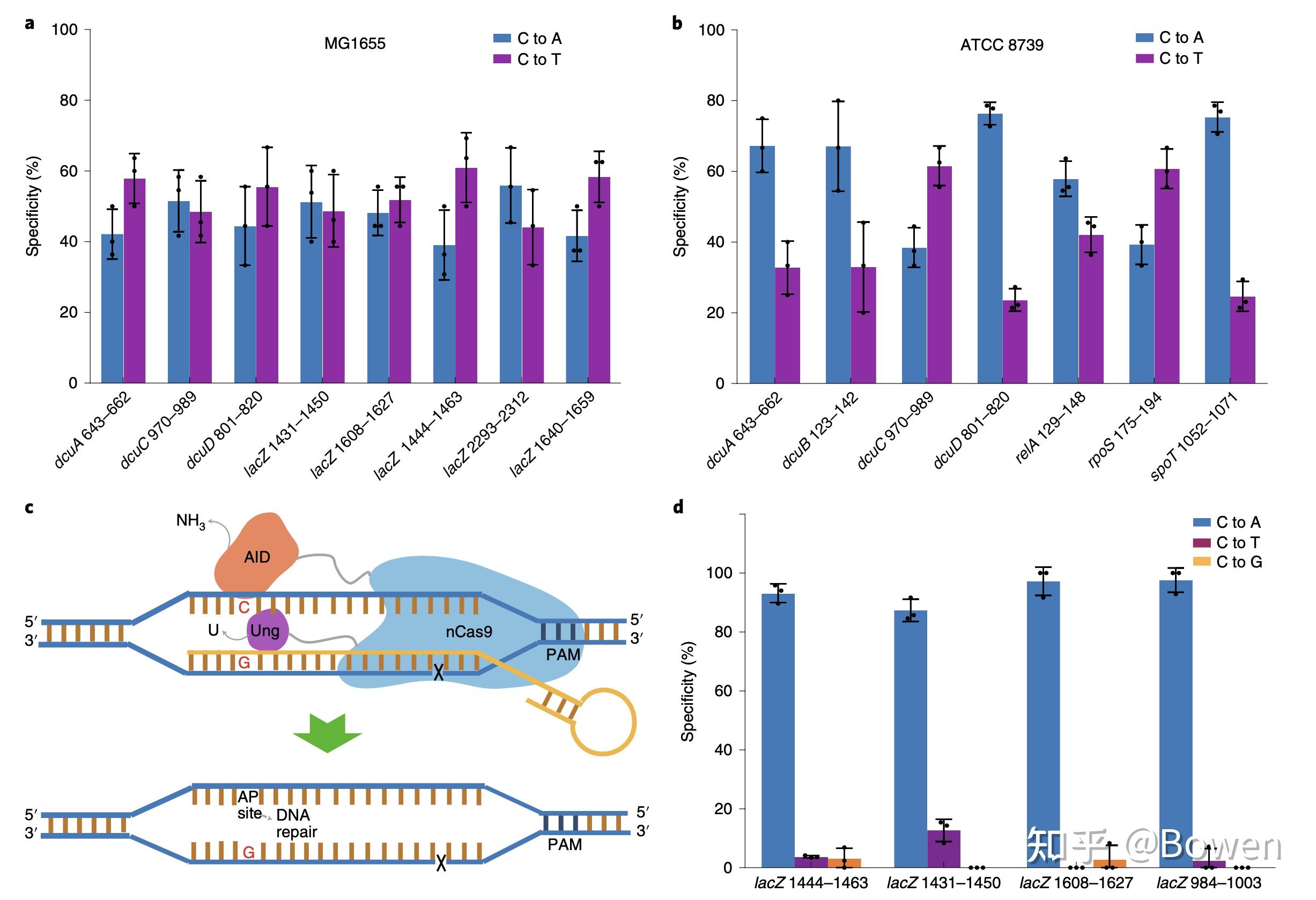 C-G Base Editor - 知乎