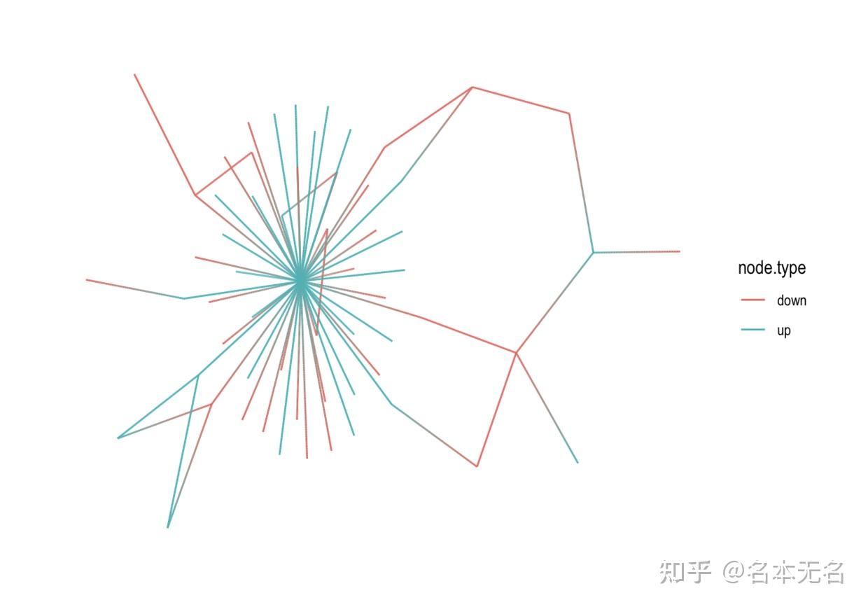 R 数据可视化 —— ggraph 节点与边 - 知乎