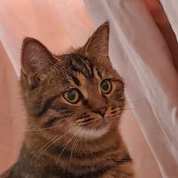 Dynamo获取并设置Revit的类型/实例参数 - 知乎