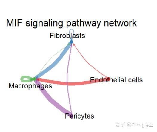 细胞通讯分析（单细胞测序）———CellChat（Homo、Mus） - 知乎