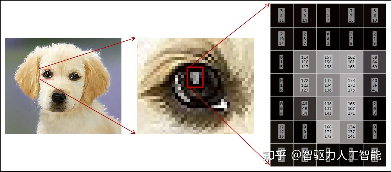 JPEG图像压缩详解和代码实现 - 知乎