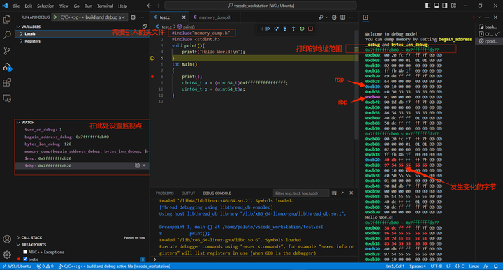 vscode, C/C++, debug, 查看内存 - 知乎