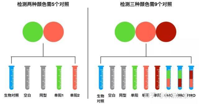 史上最易懂的流式细胞实验设计指南 - 知乎