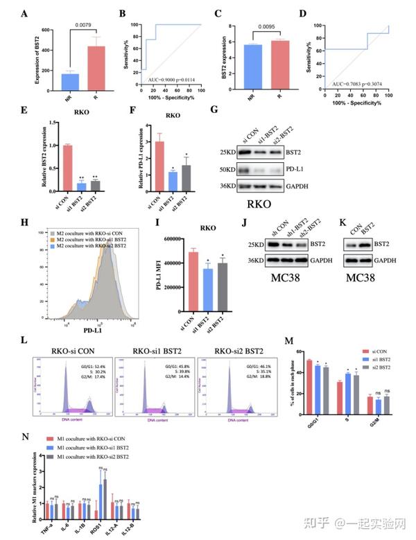 生信分析+实验验证 BST2诱导巨噬细胞M2极化促进结直肠癌进展 - 知乎