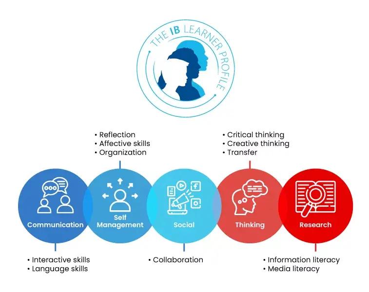 IB文凭课程中的CAS活动到底是什么？又该如何完成？ - 知乎