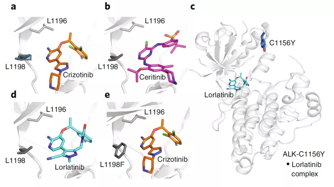 Nature子刊-综述巨著| 当肿瘤遇上耐药，我们都采用了什么策略？药学速览深度解读 - 知乎