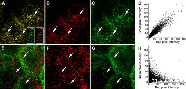 图像共定位——共现与相关性 - 知乎
