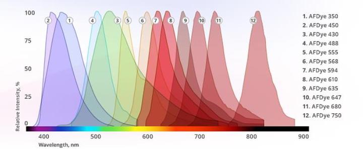 AF488 TCO，AF488 反式环辛烯，是一种明亮的绿色荧光染料同时也是一种高灵敏度的荧光探针，具有非常适合488nm激光线的激发光 - 知乎