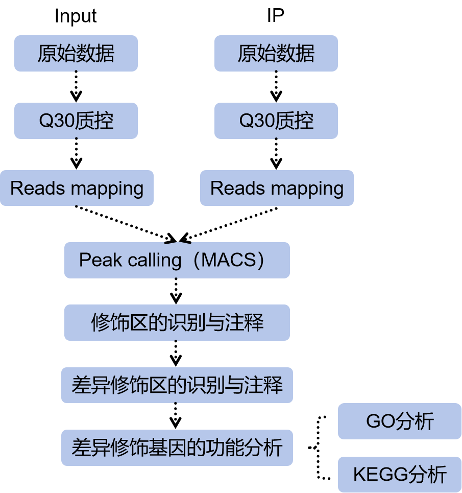 5fC DNA甲酰基胞嘧啶测序 - 知乎