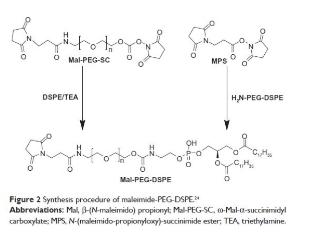 DSPE-PEG-MAL的合成路线图说明 - 知乎