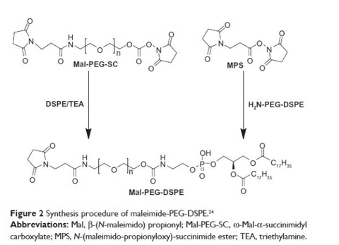 DSPE-PEG-MAL的合成路线图说明 - 知乎