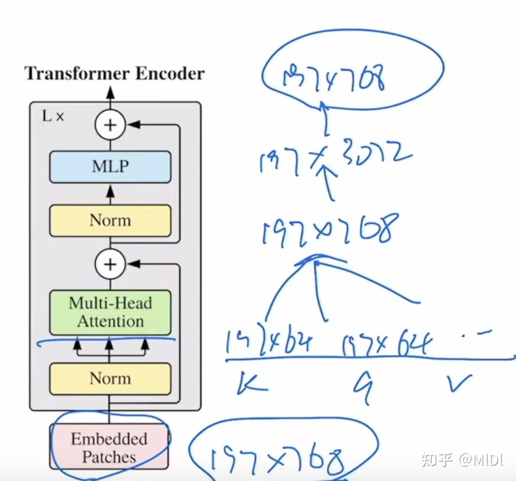Vision Transformer in Classification - 知乎